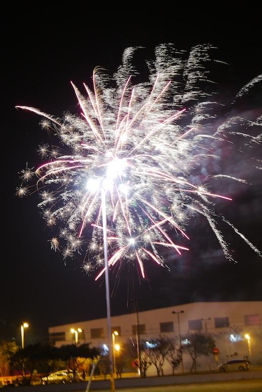 firework-39 | 逍遙文工作室